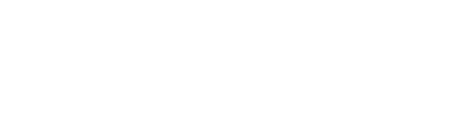 Riverbed - SteelHead Interceptor - DSSI AO